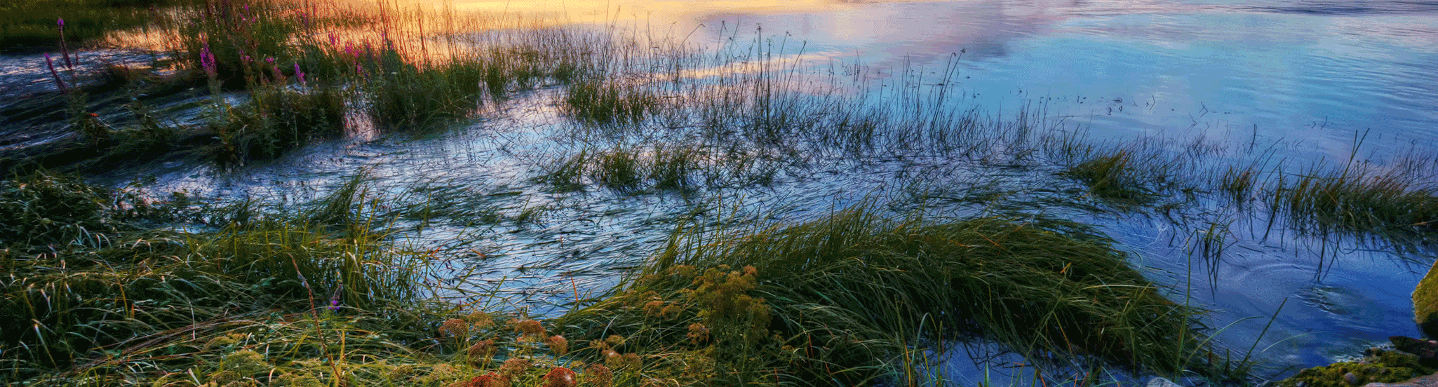 Delaware County Iowa - Environmental Health